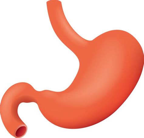 Best Enzyme Illustrations Royalty Free Vector Graphics And Clip Art Istock