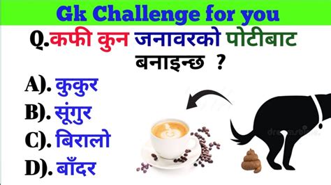 कफी कुन जनावरको पाेटीबाट बनाइन्छ Gk Questiongk Questions And