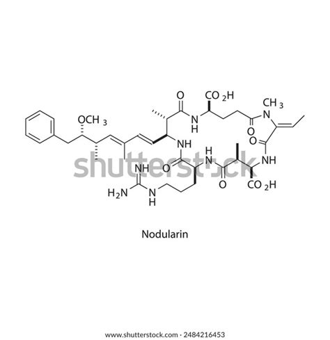 Nodularin Skeletal Structure Diagram Compound Molecule Stock Vector