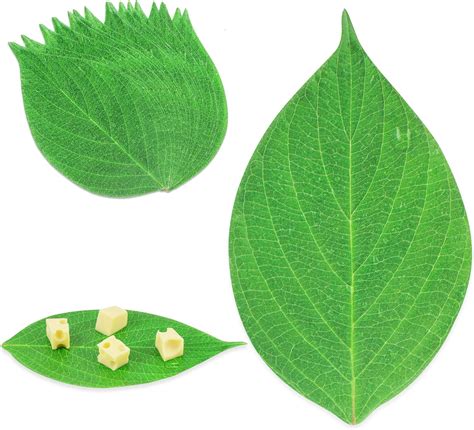 25 Pack Leaf Cheese Paper For Charcuterie Boards 12 X 8