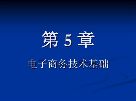 chp5 电子商务技术基础 word文档在线阅读与下载 无忧文档