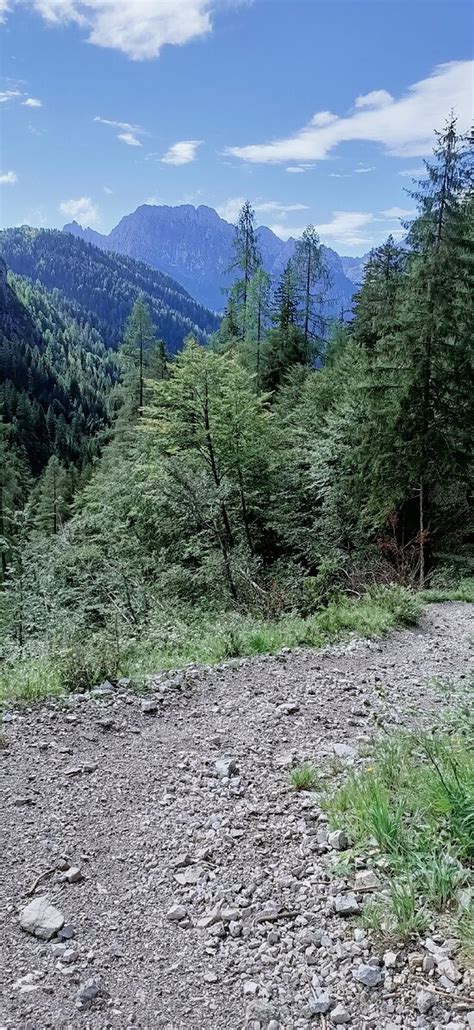 De 10 Beste Hotels In De Buurt Van Maison Boutique Fior D Alpe Sappada