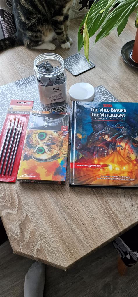 First Time Dming Went Fantastic Rdnd