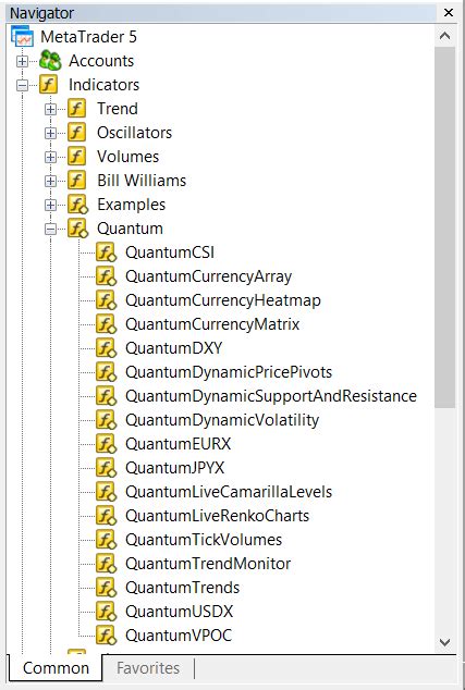 Quantum In Mt5 Navigator Quantum Trading Indicators For Metatrader 4