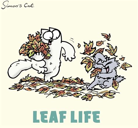 Pin By Emily B On Simons Cat And Kitten Simons Cat Crazy Cats Cats