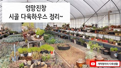 1년동안 방치한 다육하우스 정리해요😱 다육이 다육생활 다육식물 Youtube