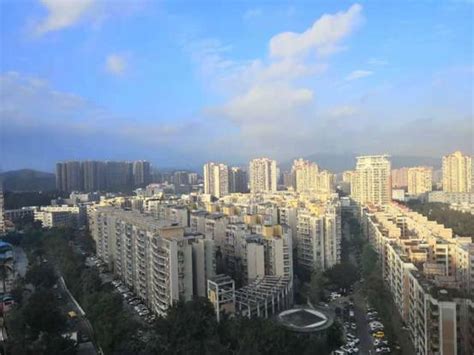 南岭村：40年砥砺前行，从“鸭屎围”到富裕村新闻中心中国网