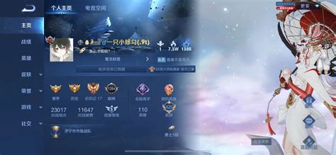 V10全荣耀典藏，425皮，安卓qq192区哥特玫瑰，30套150级铭文 王者农药 标题写明区服 Qq Gg租号