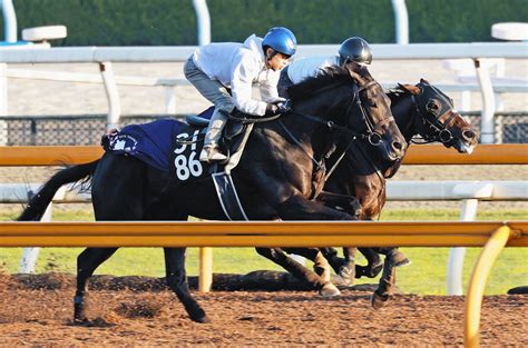 クロワデュノール、サトノシャイニングとの激しい競り合いを制し、重賞初勝利【東京スポーツ杯2歳s】