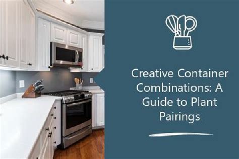 Creative Container Combinations A Guide To Plant Pairings Planet 997