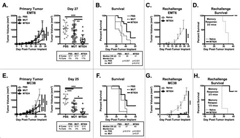 M7824 Has Anti Tumor Efficacy Against Murine Emt6 Breast And Mc38 Colon