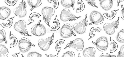 Pumpkin Seamless Pattern In Monochrome Colors Pumpkin Background For Harvest Festival Stock