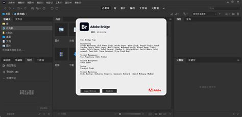 Bridge Adobe Bridge V