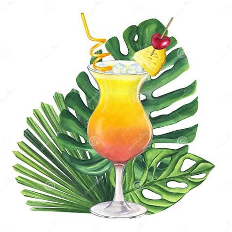 Cocktail Sex On The Beach Tequila Sunrise Tropical Leaves Monstera Licuala Cherry Pineapple
