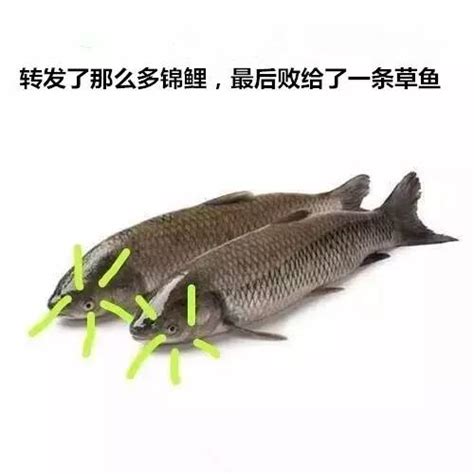 浙高考阅读题太难 小编看了流泪作者读了沉默新闻频道中国青年网