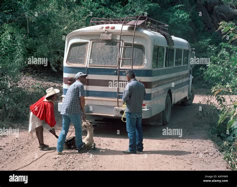 A Bus Driver And His Assistant Load In Their Bus A Goat The Just Bought