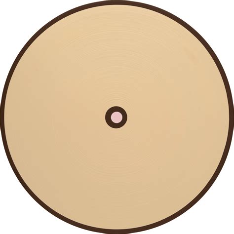 陳怡潔 Chen Agi 角落生物炸豬排的旋轉肖像 Sumikko Gurashitonkatsu 2021 誠品畫廊｜線上展廳 ｜ovr