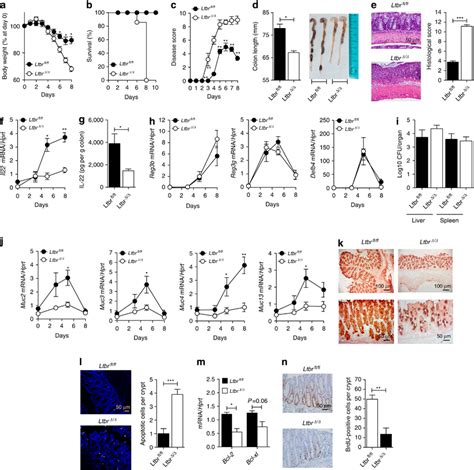 Lymphotoxin Beta Receptor Ltβr Signaling Protects Against Intestinal