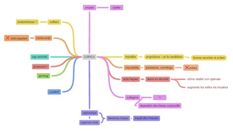 Lorica Coggle Diagram