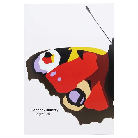 A5 Peacock Notebook Edu Sci