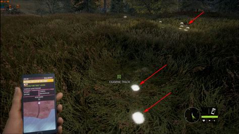 7 Signs Your Graphics Card Dying Take Immediate Action