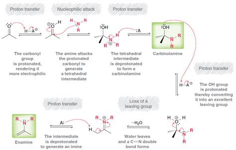 Modifikasi Pada Gugus Amine Dan Imine