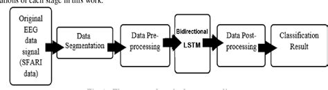 Figure 1 From Lstm Based Electroencephalogram Classification On Autism