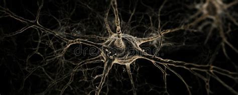 Detailed Neuron On Black Background Scientific Visualization Biology