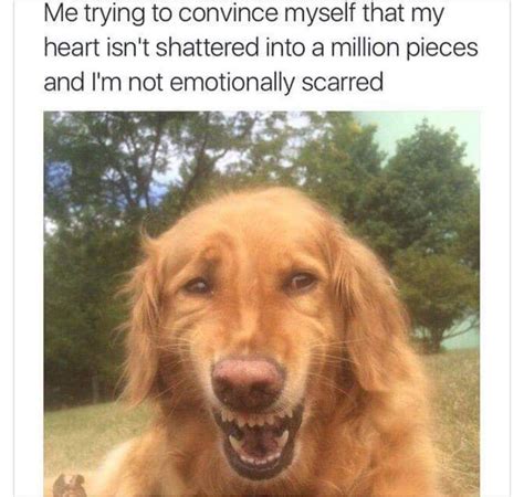 Mar¢o Marco Bartolo Twitter