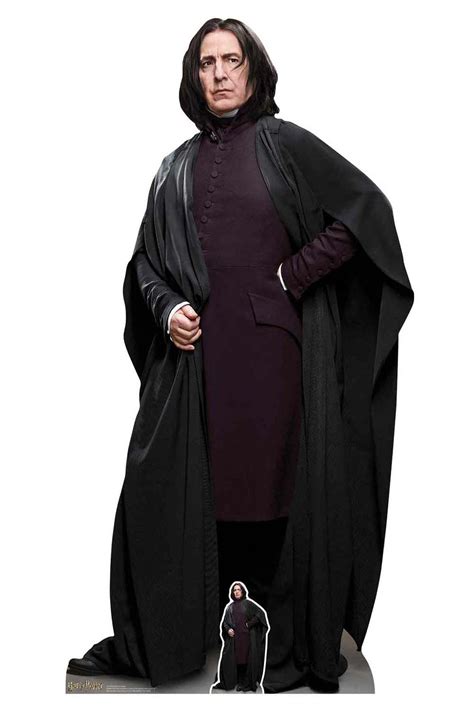 Dobby The House Elf Official Harry Potter Cardboard Cutout Standup