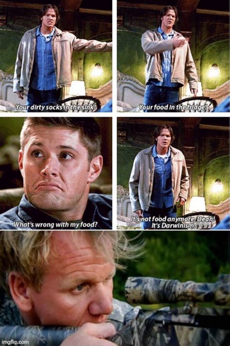 Gordon Ramsey Would Murder Dean For His Survival Food Imgflip