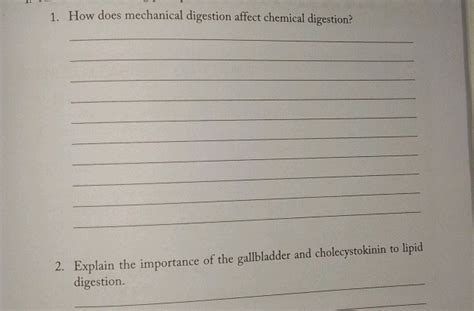 1 How Does Mechanical Digestion Affect StudyX