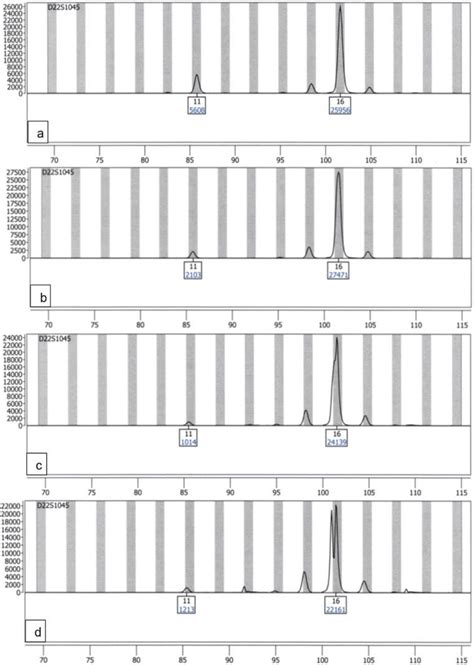 Electropherograms Of A Mixture Of The Two Dna Amplification Positive