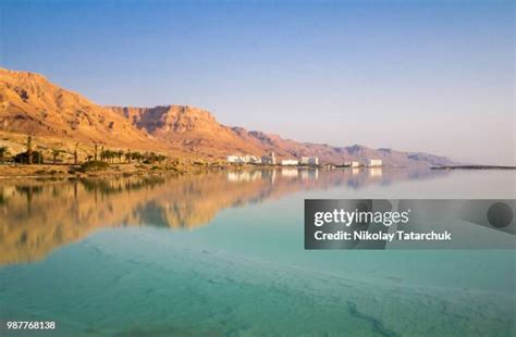 Daed Photos And Premium High Res Pictures Getty Images