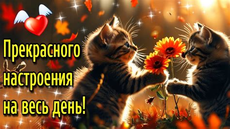 🌞☕Самого доброго осеннего утра 🍁Благословенного дня 🌞Красивая