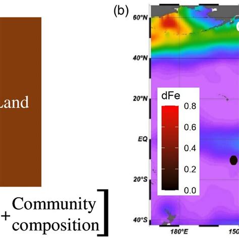 A Schematic Of Factors Influencing Community Fe C Across Ocean