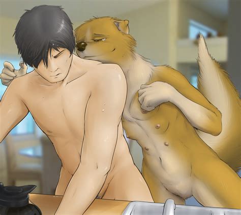 Rule 34 2011 6 Breasts Anthro Black Hair Breasts Brown Body Brown Fur