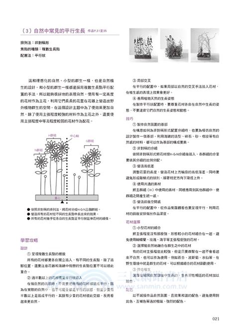 德式花藝大師的歐式花藝設計學（上冊）：從製作中學習花藝理論 三民網路書店