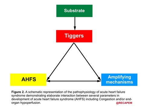 Sympathetic Crashing Acute Pulmonary Edema Scape Insight Into
