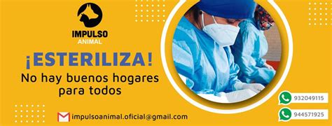 La Ley 4 Patas Y El Poder De Las Redes Sociales
