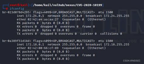 NEXUS CVE 2020 10199漏洞复现 CSDN博客