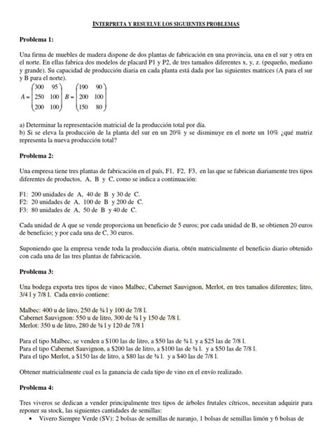 Problemas De Matrices Pdf Matriz Matemáticas