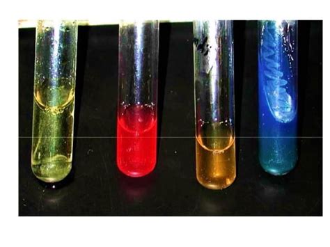Isolation And Identification Of Enterobacteriaceae Pptx