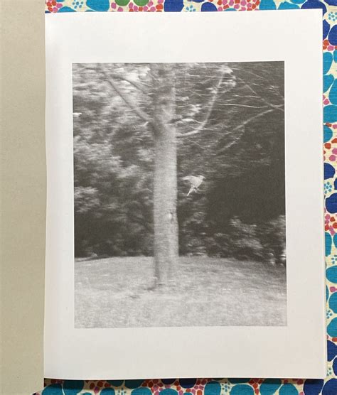 Augury Kyle Dacuyan Daniel Rampulla Essay First Edition