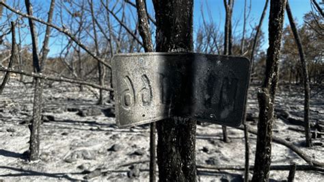 Residentes De Hays Les Gustaría Ver Más Opciones De Evacuación Tras