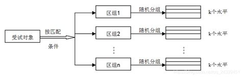 医学统计学笔记之设计医学统计学设计类型分类 Csdn博客
