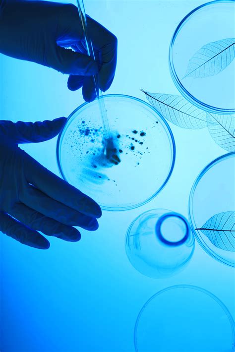 Mirrhia Microbio Module Mirrhia