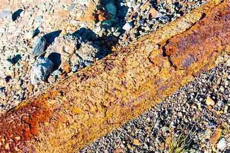 HOW TREE ROOTS CAN DAMAGE YOUR SEWER LINES Sitename Near White Lake MI