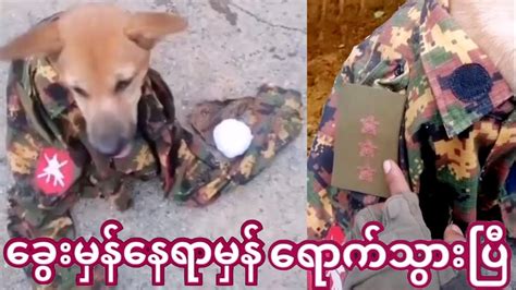 ဇွန်လ ၂၀ ရက်နေ့၊ နေရာမှန်ရောက်သွားတဲ့ဗိုလ်ကြီး Youtube