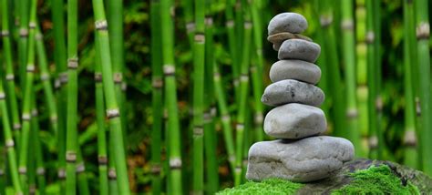 Balinesische Massage Auszeit Wellness Massage